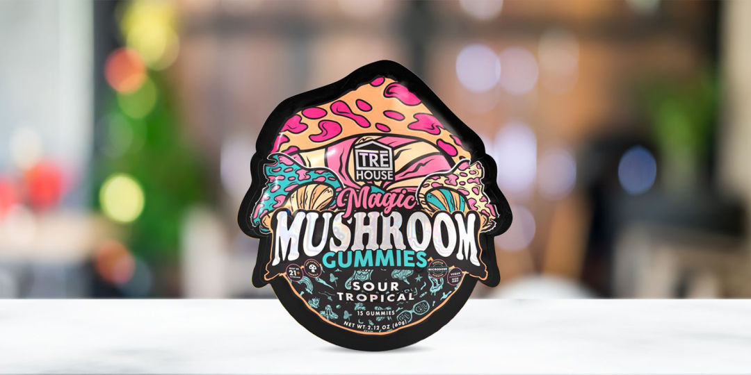 Level Up Mushroom Gummies