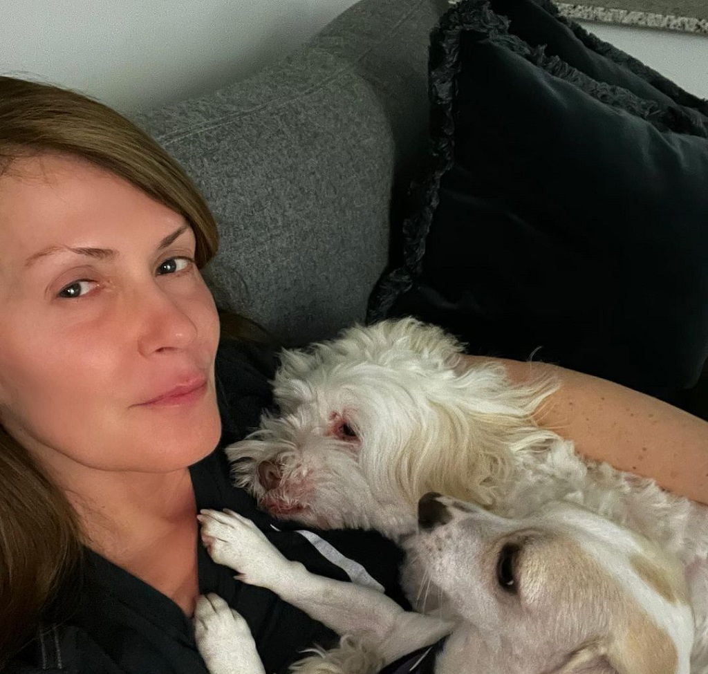 Dagen McDowell Weight Loss: Fox Anchor’s 185-Pound Transformation at Age 48