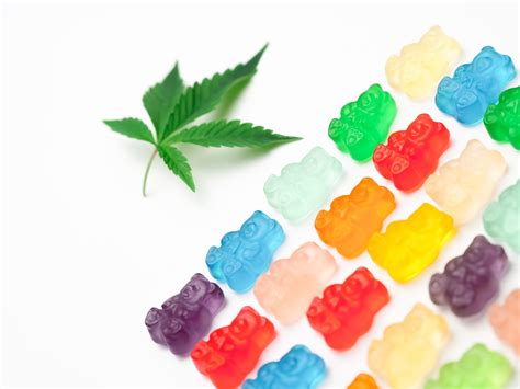 Dog Cannabis Key Gummies: A Comprehensive Guide to Safe and Effective ...